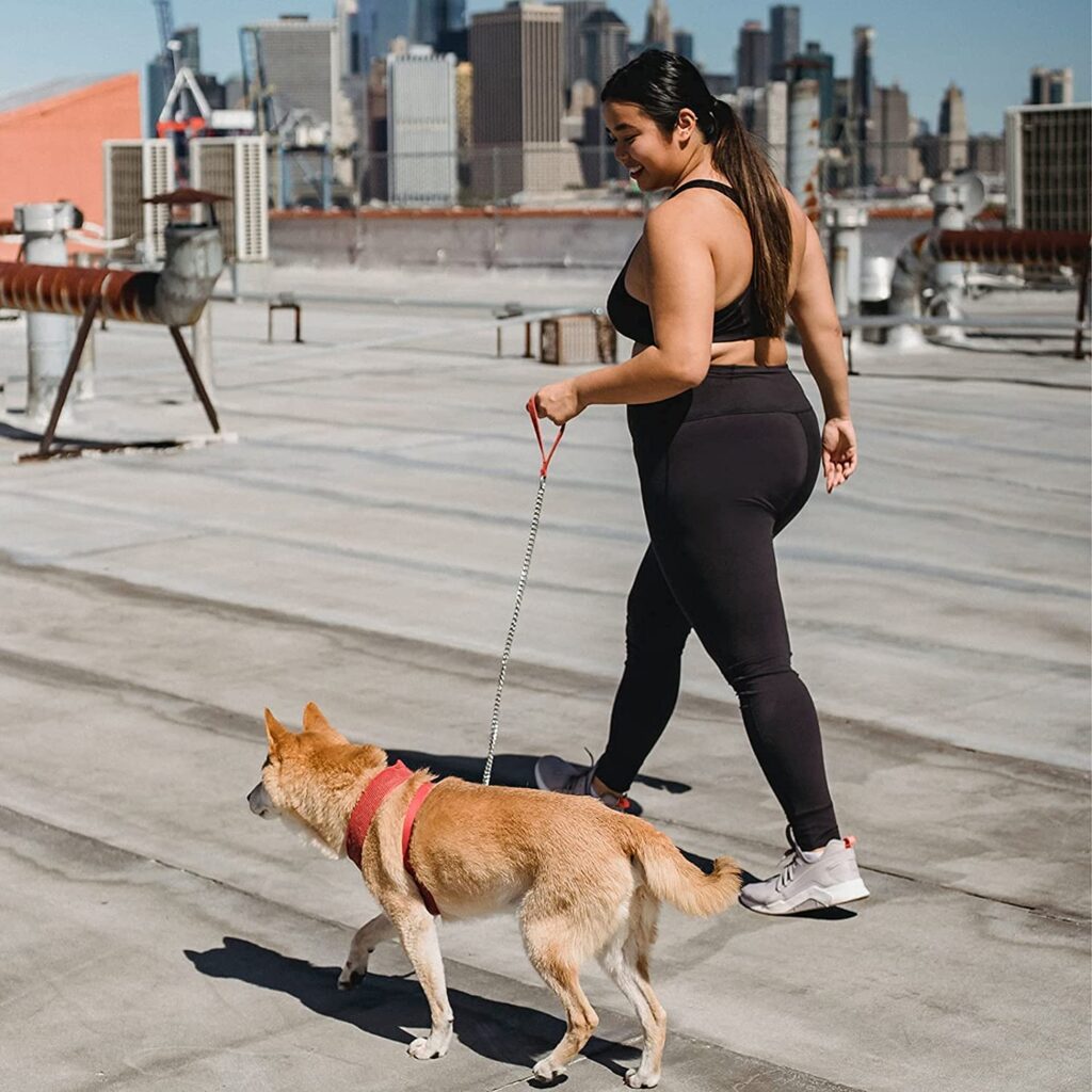 9 Best Plus Size High Waisted Leggings (All Under $45!).